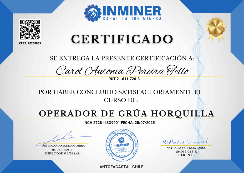 validacionsystemcaroltellogh – INMINER